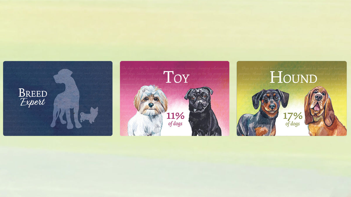 Introducing ‘Breed Expert’: A Designer Diary on Board Game Geek ...