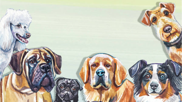 Which Dog is Your Spirit Animal? - Birdwood Games